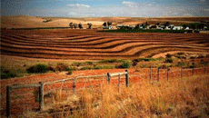 land-reform-motion.gif