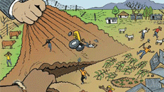 land-reform-web.gif