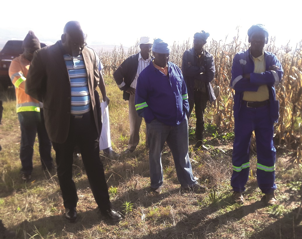 A team that is passionate about farming