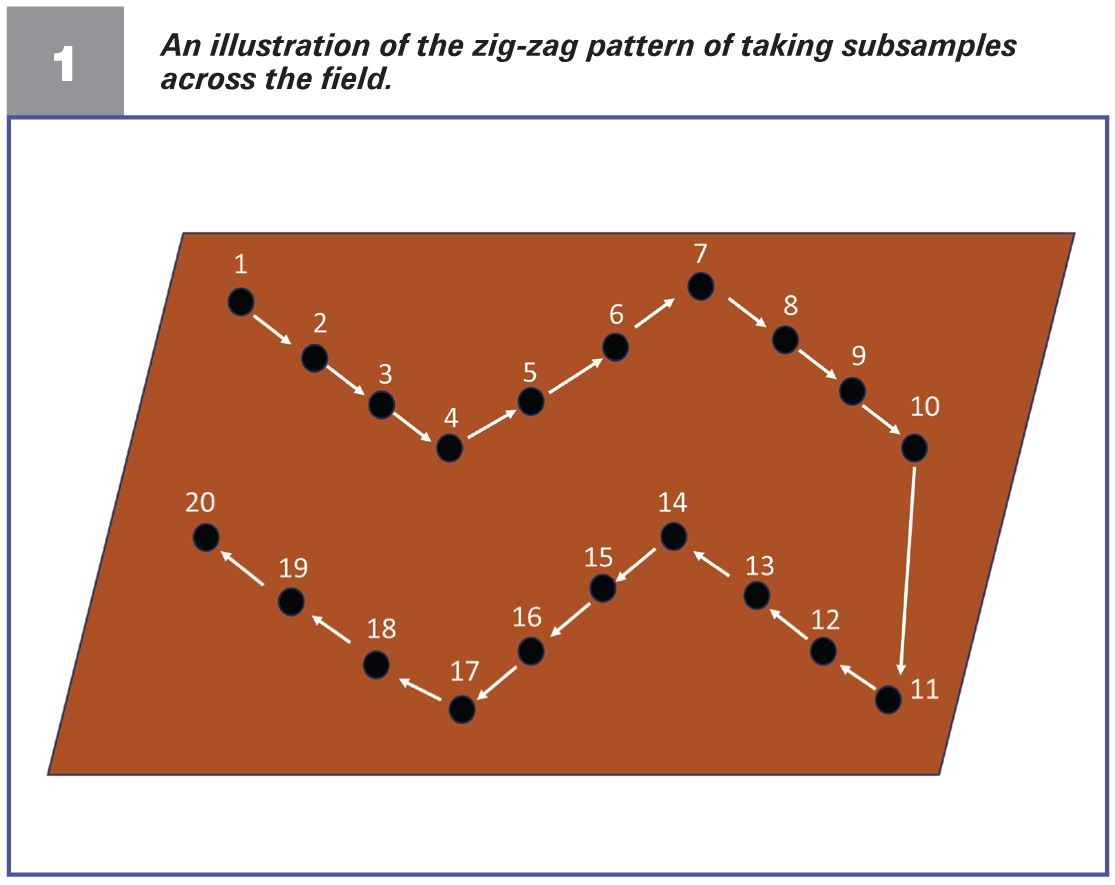 Take soil samples to get healthy crops