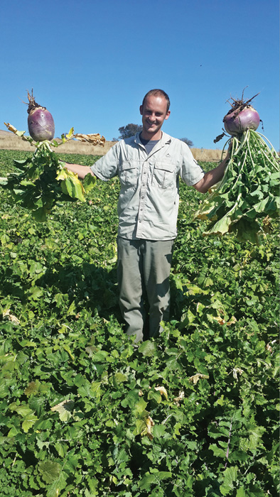 Integrated crop and pasture-based livestock production systems - Part 15