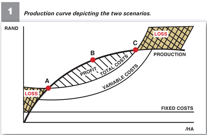 Maintain a balanced management approach