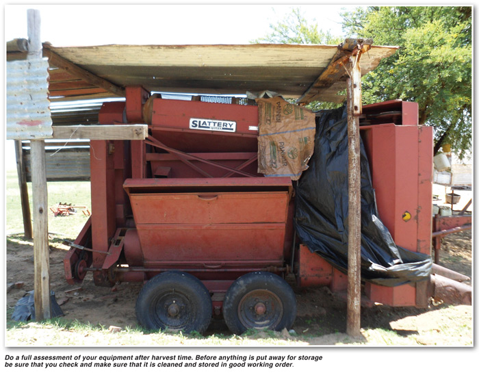 MAIZE – keep this in mind for August and September