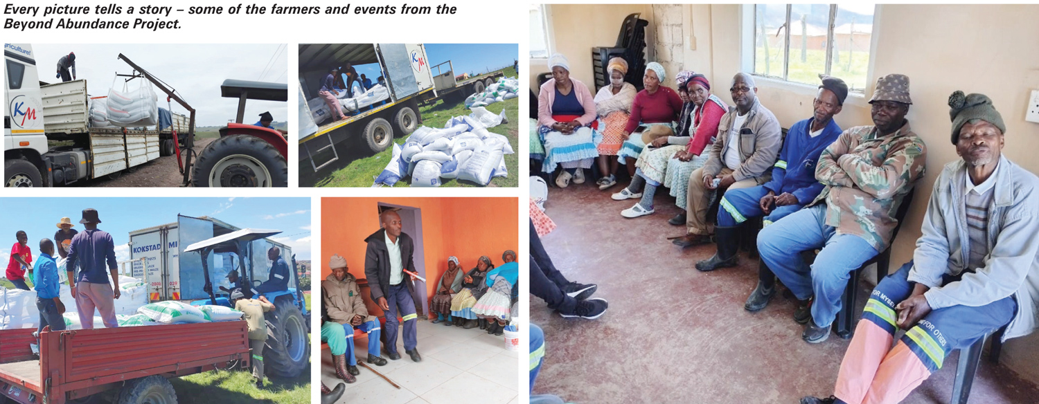 Mentoring project boosts small-scale farmers