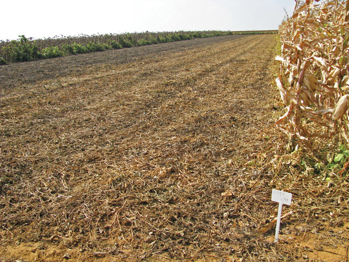 Geïntegreerde gewas- en aangeplanteweiding-gebaseerde lewendehawe ...