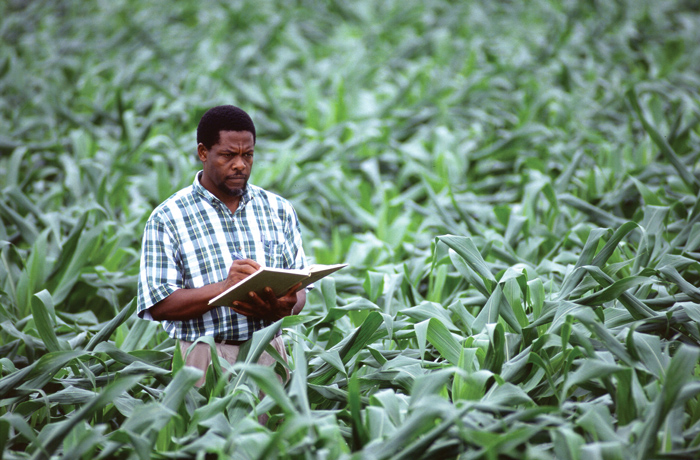 Farming on paper leads to success