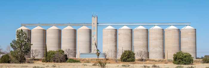 Marketing of maize: Planning ahead is crucial