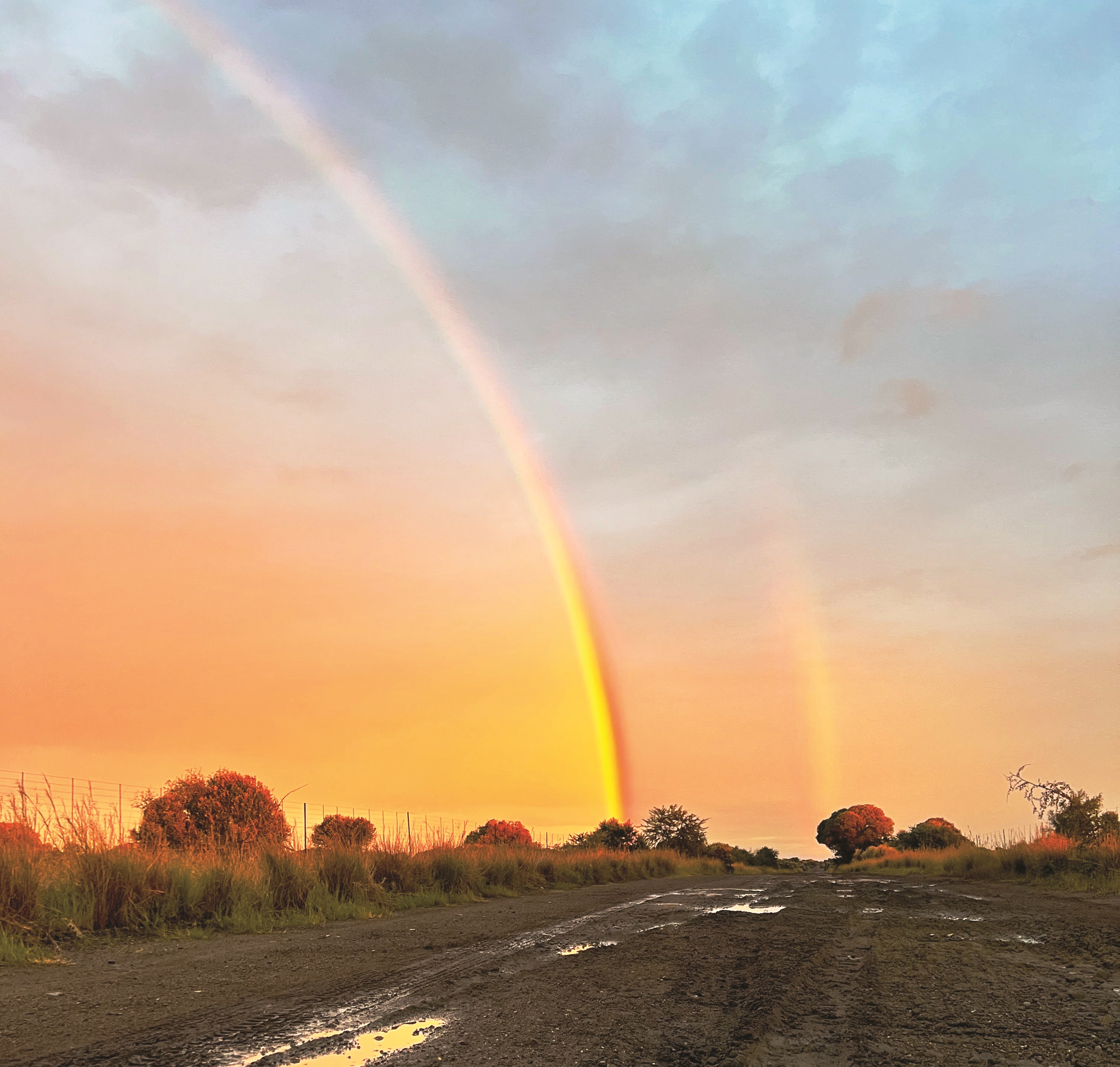 Climate forecast for the 2022/2023 summer season