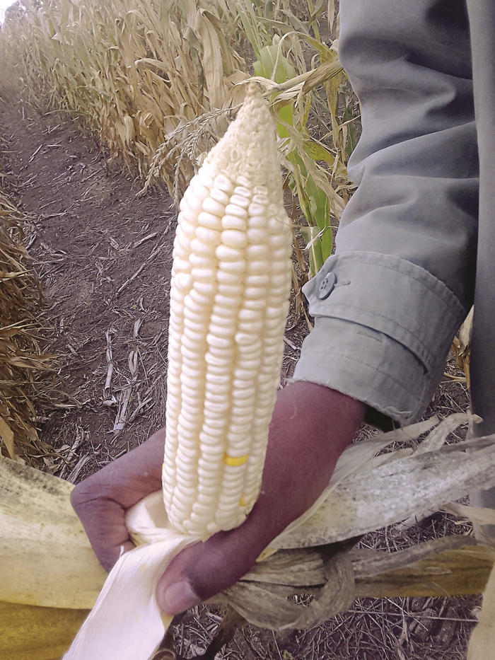 Farmers address challenges