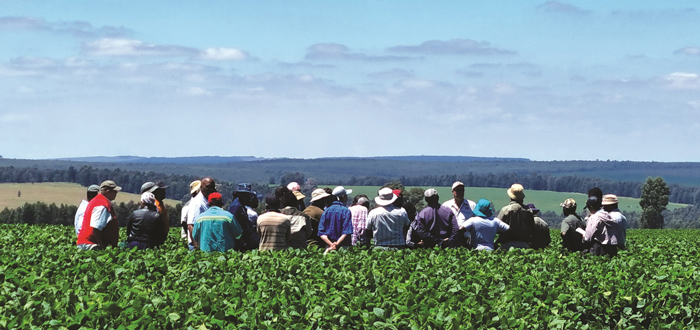 Farmers’ days: A platform to share farming ideas