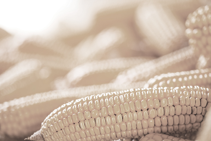 How the maize market functions