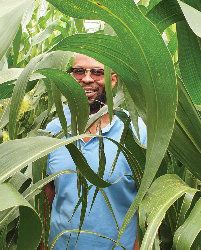 Reap the harvest of good planning