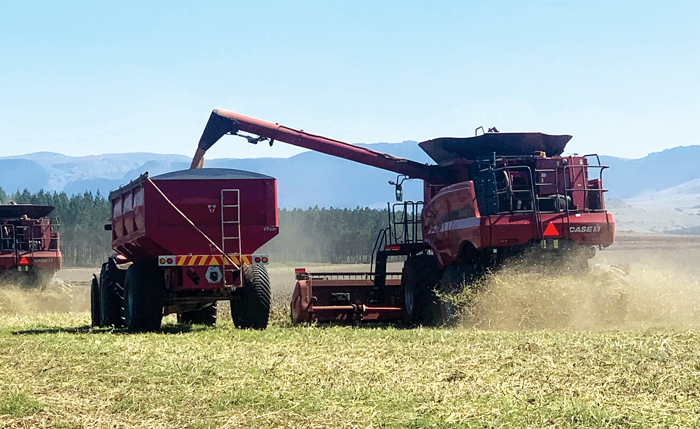 Avoid crop losses with early harvesting