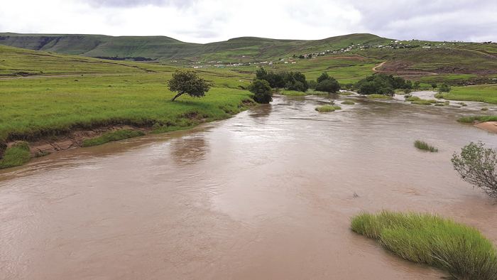 Agriculture part of SA’s road to recovery