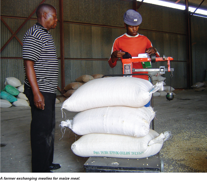 The art of MARKETING your maize