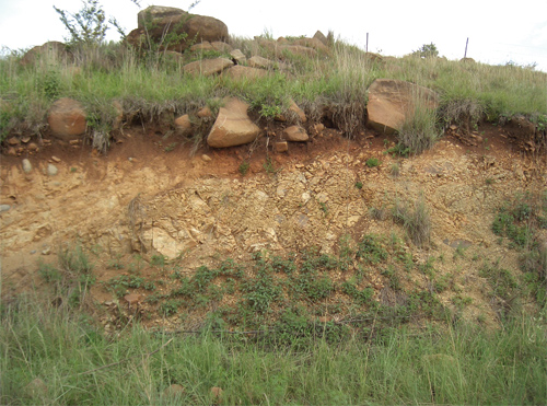 SOIL: THE PRODUCER’S MOST IMPORTANT ASSET — Part 2: The most important ...