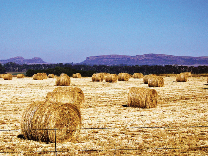 Integrated crop and pasture-based livestock production systems - Part 2