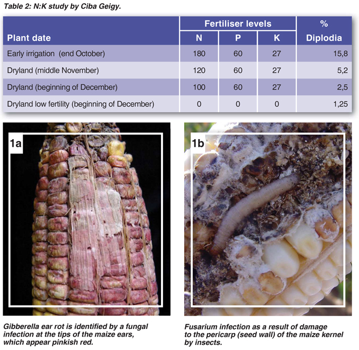 The influence of the ratio between nitrogen and potassium on diplodia ...