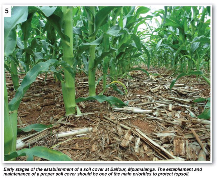 Topsoil: A valuable component of soils