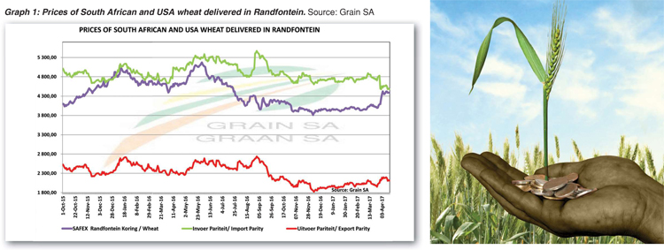 Why it’s important to understand international wheat prices